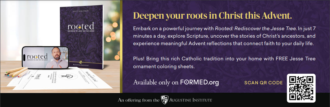 Advent 2024 – Saint Thomas the Apostle Catholic Church